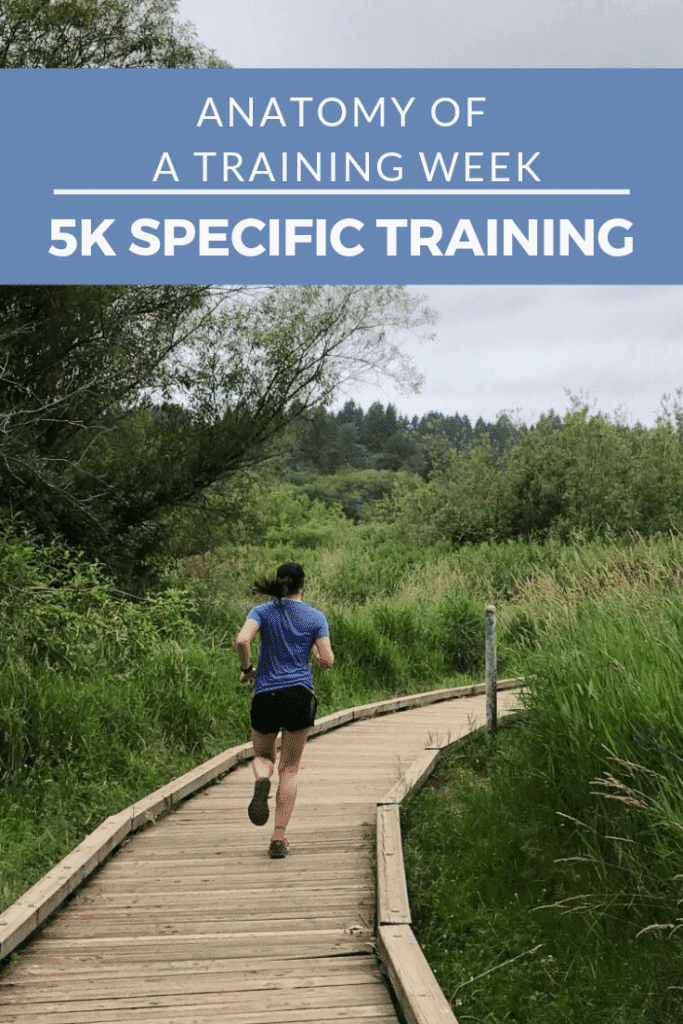 Anatomy of a Training Week: 5K Training - Blog